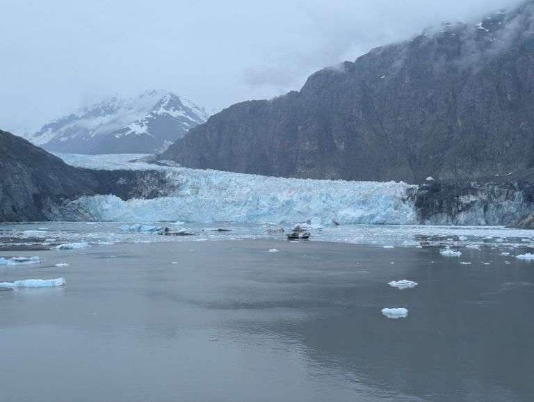 Land and Sea Tour of Alaska with Kids – Adventures Await